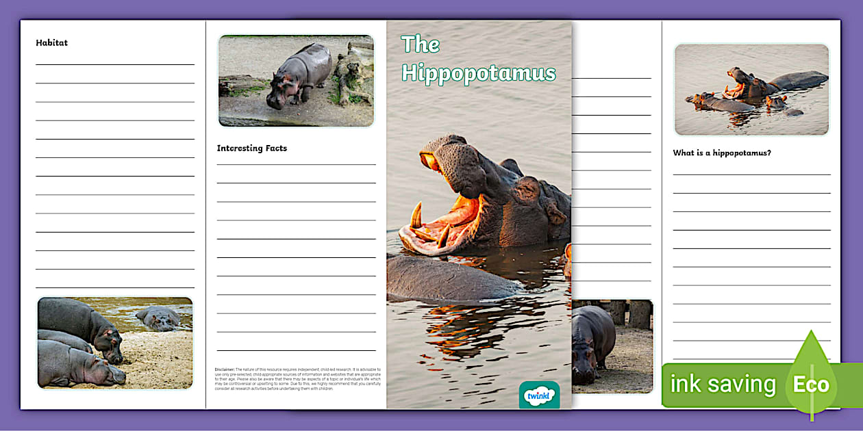 Hippopotamus Leaflet Template (Teacher-Made) - Twinkl