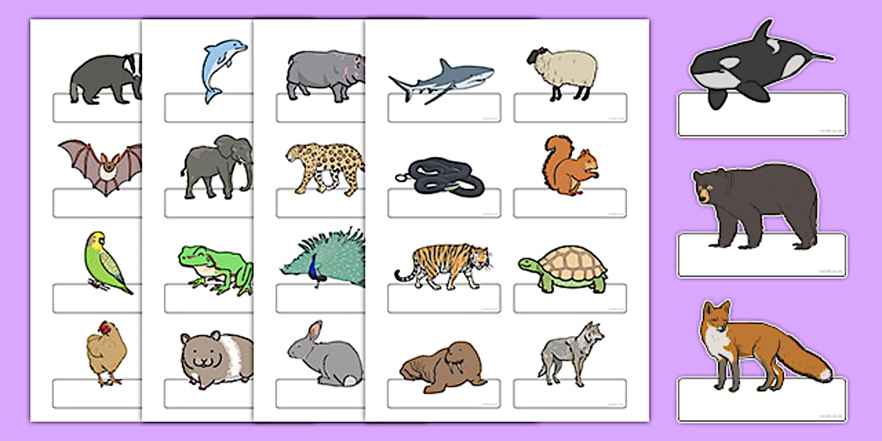 Editable Self-Registration Labels (Animals) - Twinkl