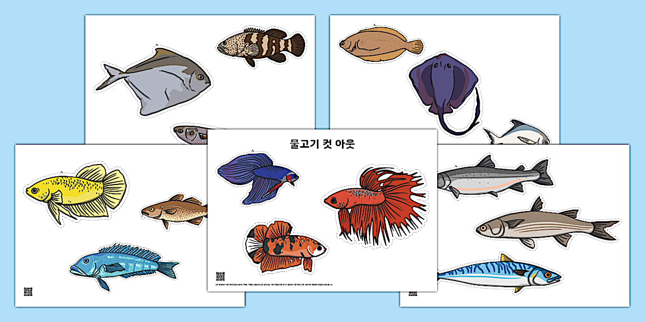 물고기 컷 아웃 | Fish Cut-Outs (Teacher-Made) - Twinkl