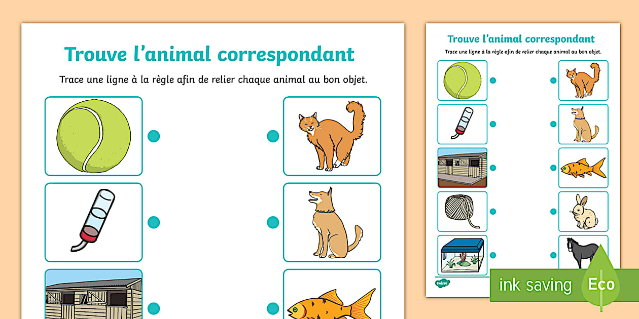 Feuille d'activités : relier les animaux (Teacher-Made)
