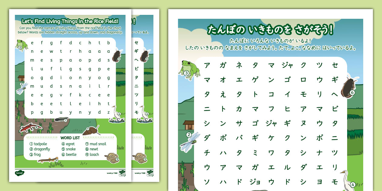 単語さがし 田んぼの生きもの Bilingual Rice Field Word Search - Twinkl
