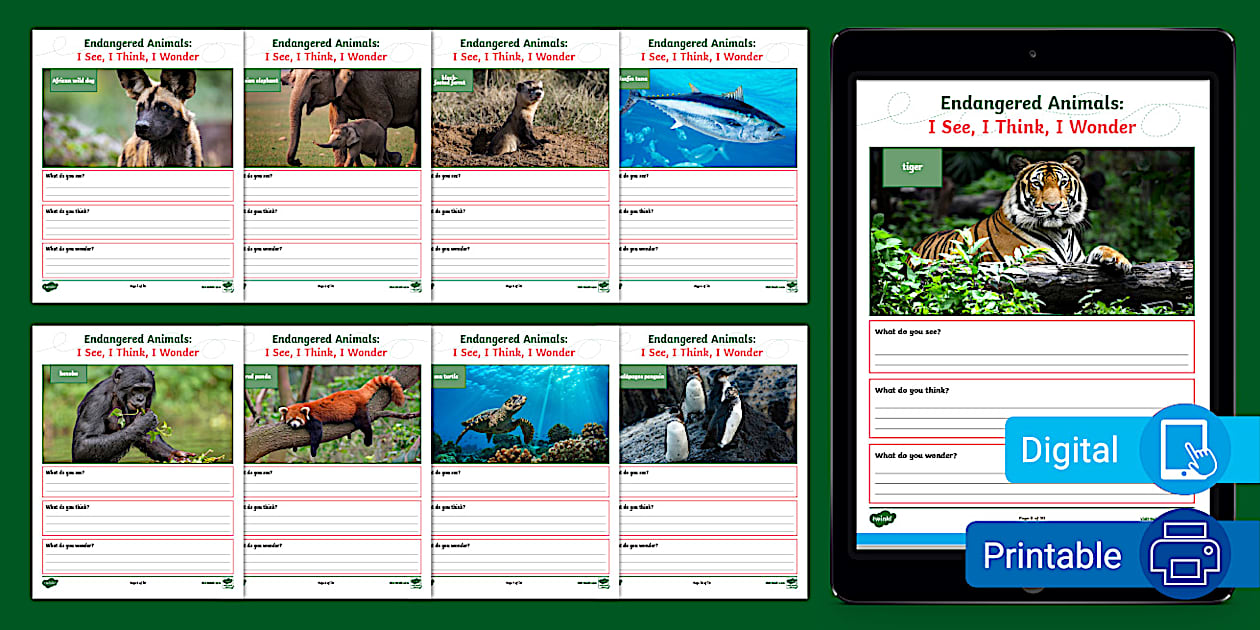 Endangered Animals: I See, I Think, I Wonder Activity