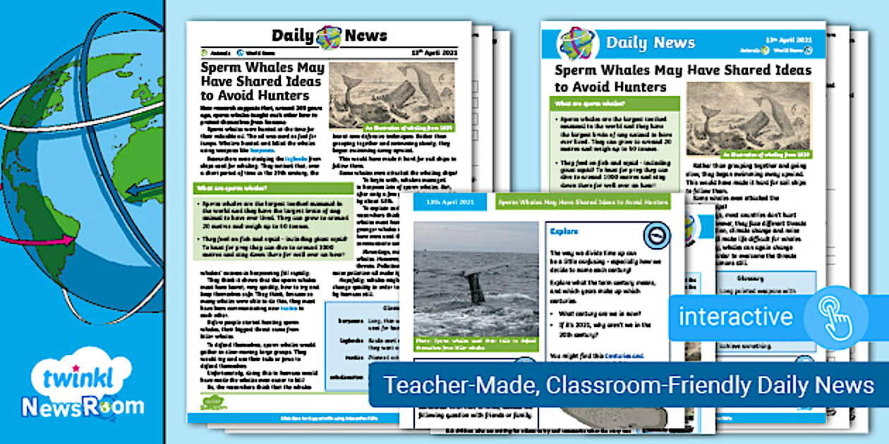 Sperm Whale Reading Comprehension | Twinkl NewsRoom - Twinkl