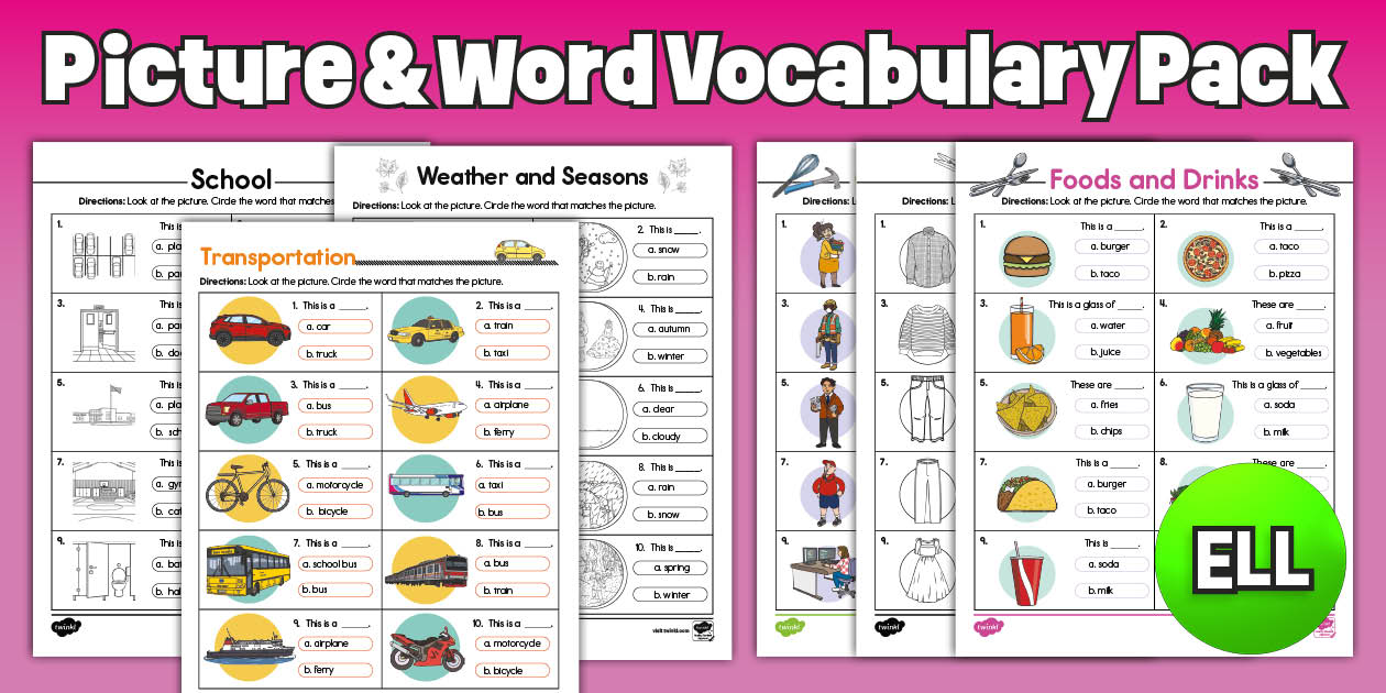 Picture and Word Vocabulary Worksheet Pack for ELL