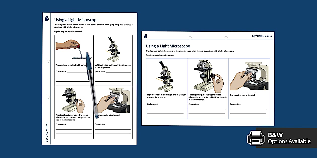 Using a Light Microscope Worksheet | KS3 | Beyond Science