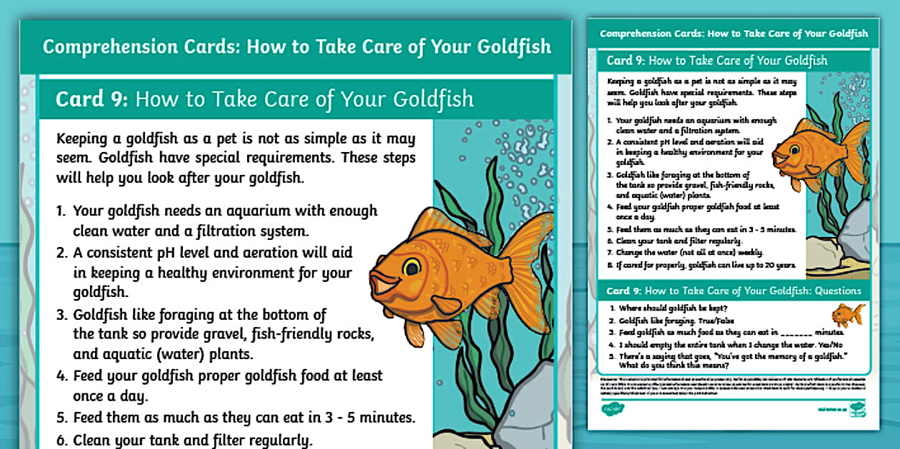 Comprehension Card: How to Take Care of Your Goldfish