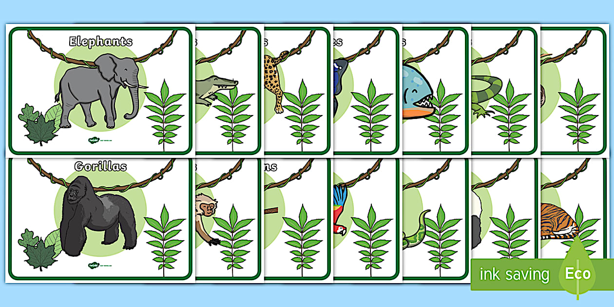 Editable Group Signs (Jungle & Rainforest) (teacher made)