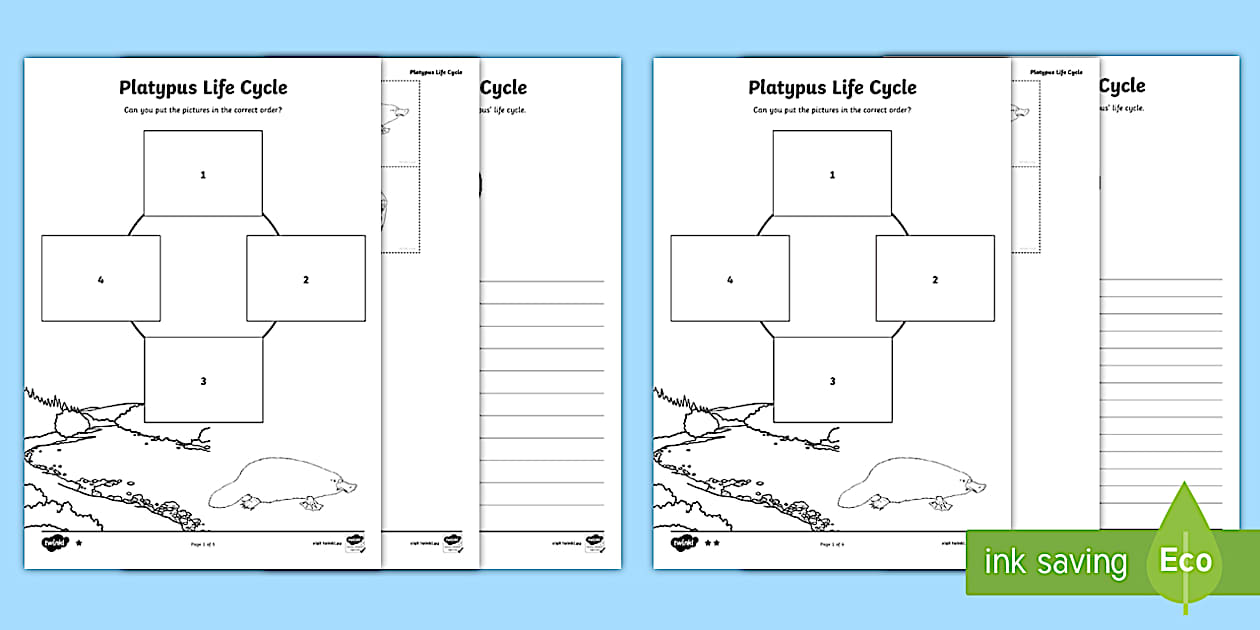 Platypus Life Cycle Worksheet / Worksheet (teacher made)