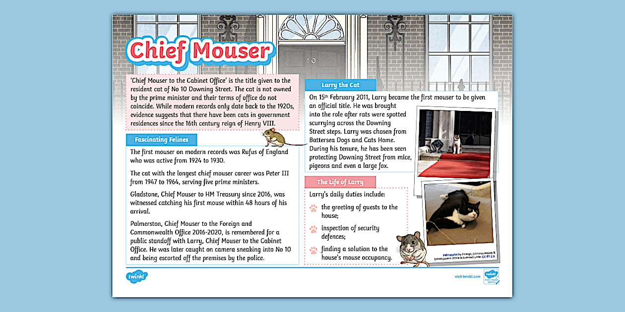 KS2 Chief Mouser Fact File - Government Politics - Twinkl