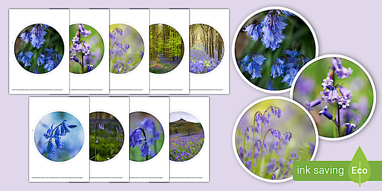 Bluebell Circle Photo Cut-Outs (teacher made) - Twinkl