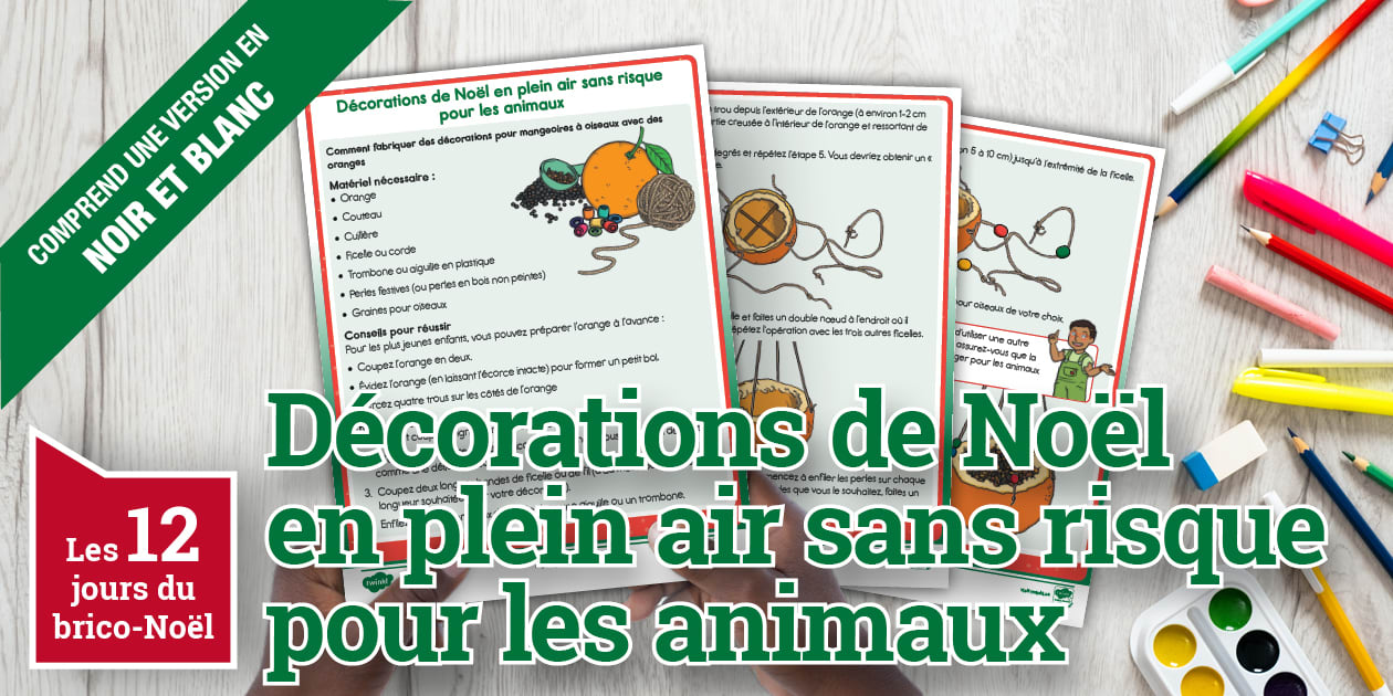 Crafty Christmas Decor: 12 Days of Craftsmas