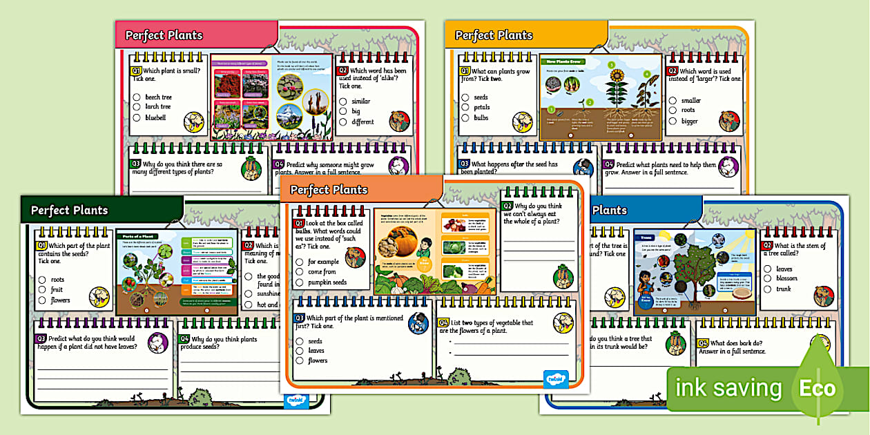 Year 1 Perfect Plants Reading Comprehension Activity Mat Pack