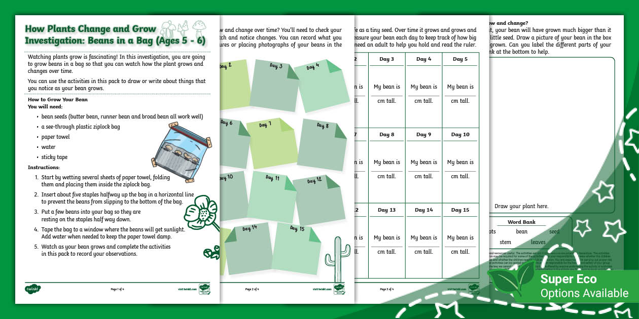 How Plants Change and Grow Investigation (Ages 5 - 6)
