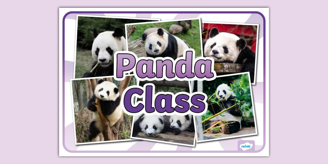 Panda Class Photo Display Poster (Teacher-Made) - Twinkl