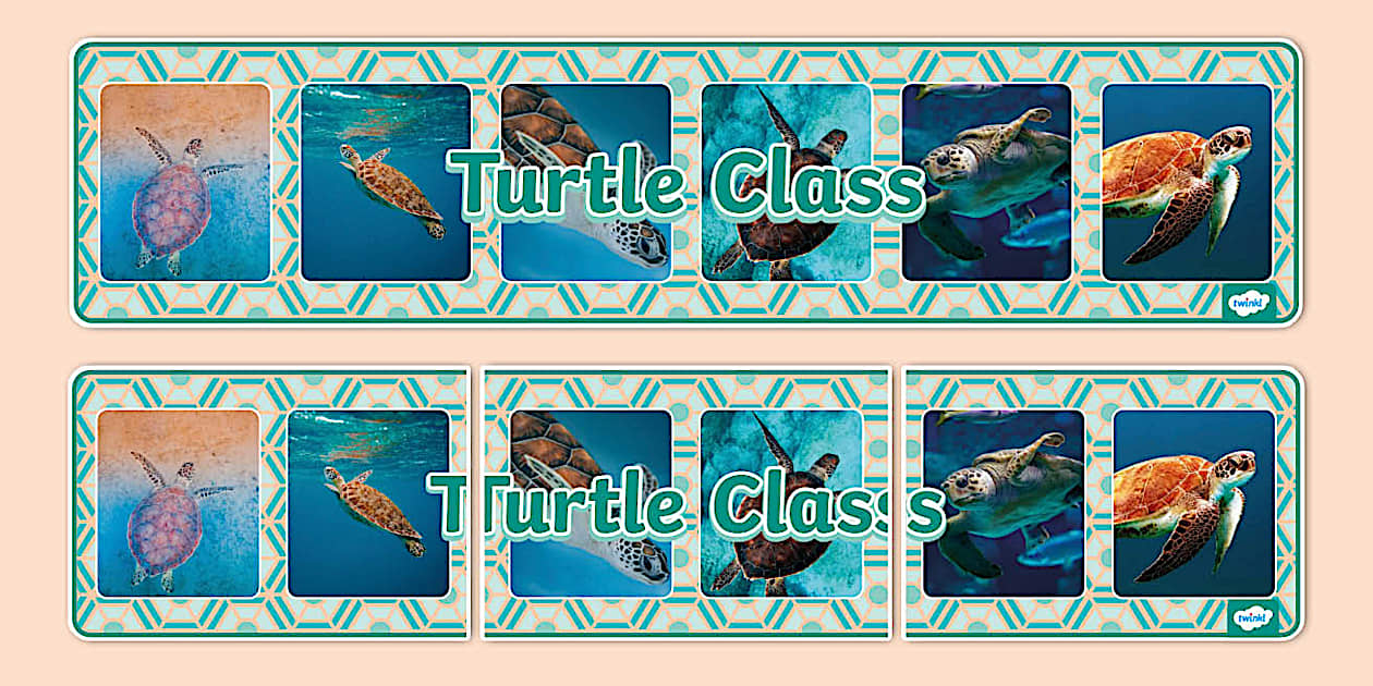 Turtle Class Photo Display Banner (teacher made) - Twinkl
