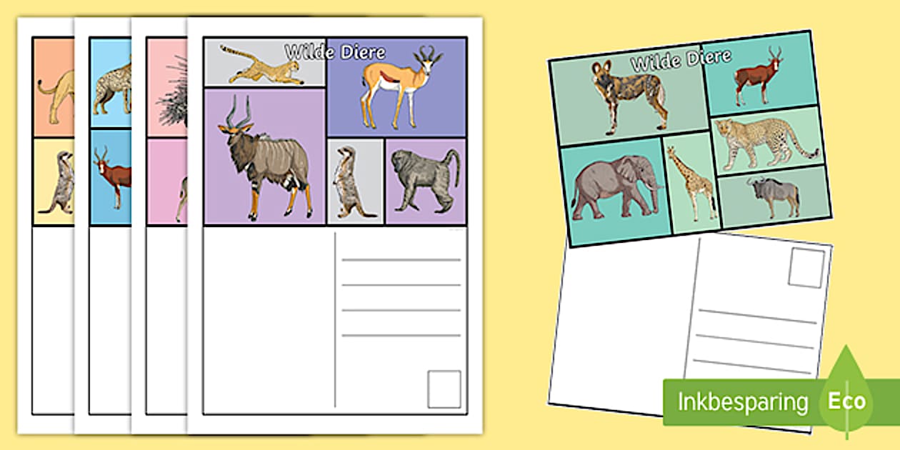 Wilde Diere Poskaarte (teacher made) - Twinkl