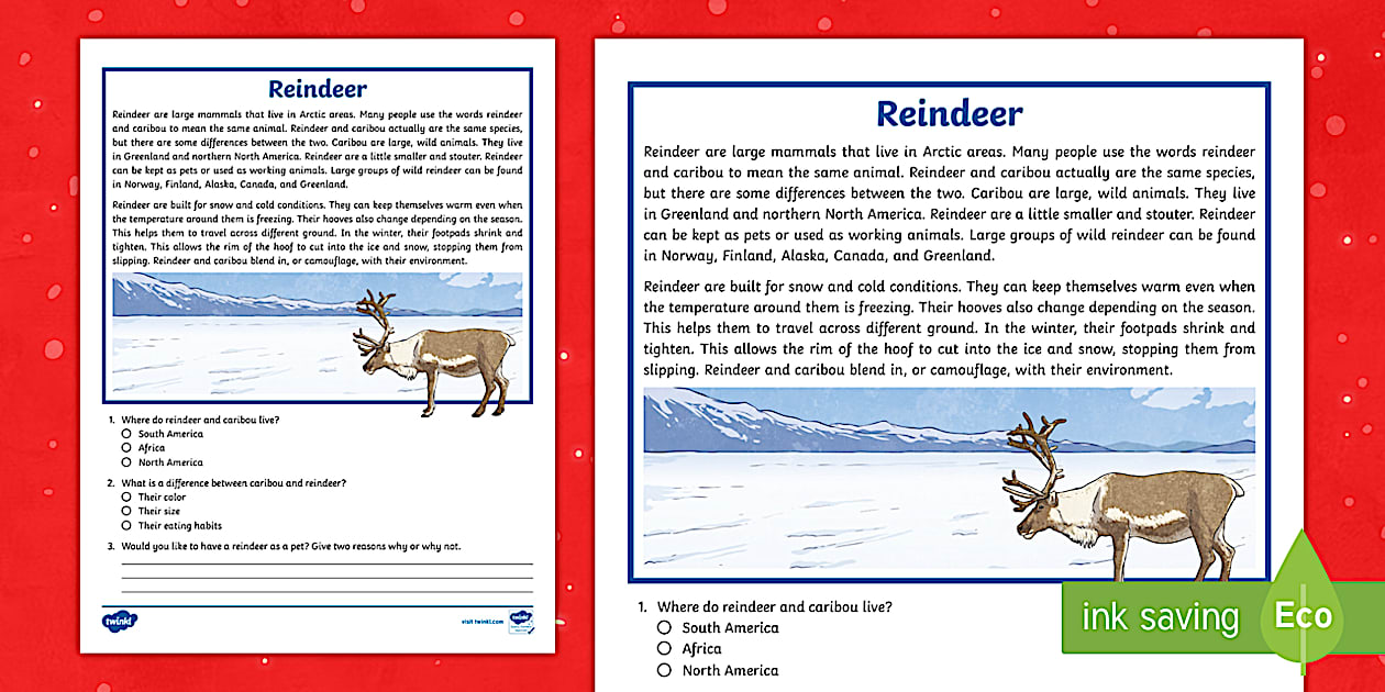 3rd Grade Reindeer Trivia Questions Worksheet | Twinkl USA