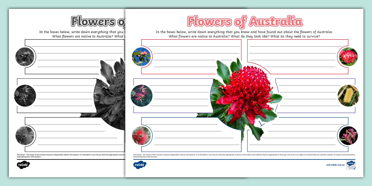 Flowers of Australia Mind Map (teacher made) - Twinkl