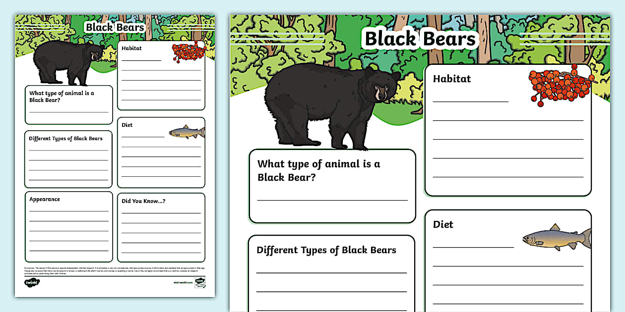 Black Bear Fact File Template (teacher made) - Twinkl