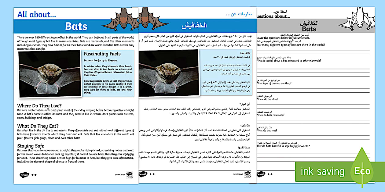 Higher Ability Bats Reading Comprehension Pack Arabic/English