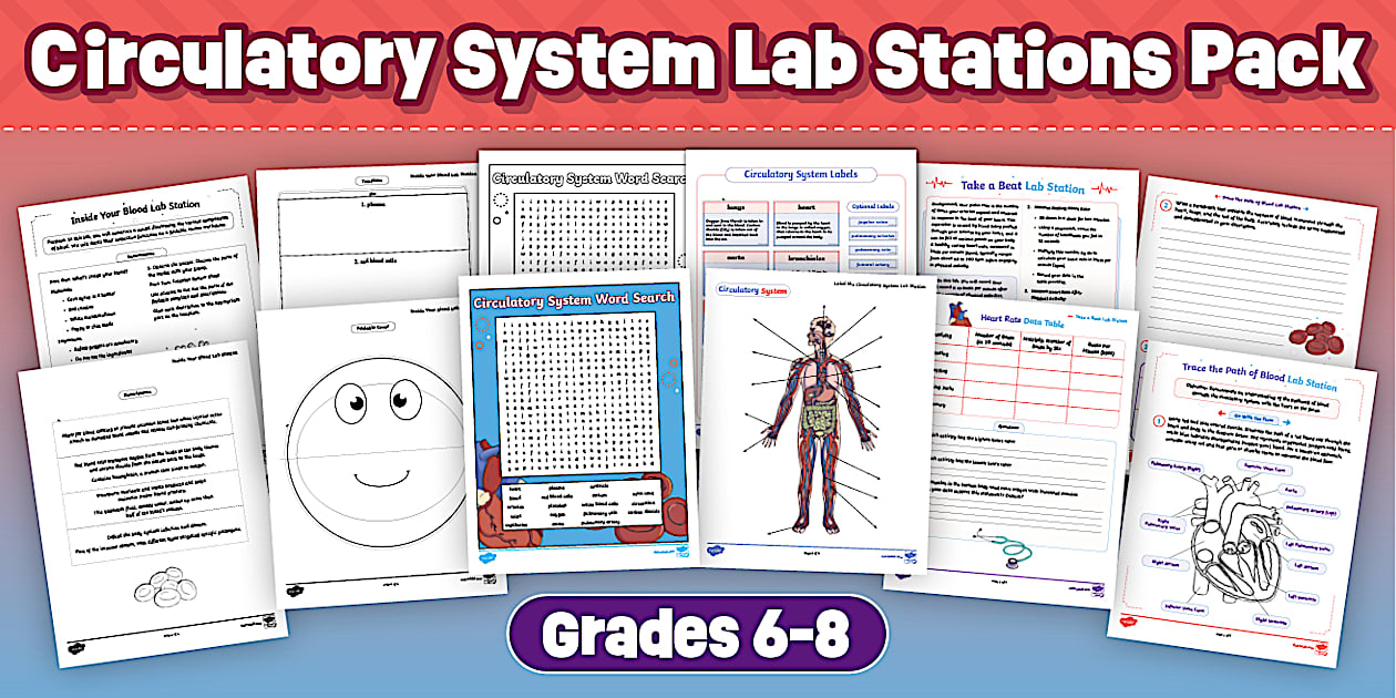 Hands-On Circulatory System Lab Stations Pack 6th-8th Grade