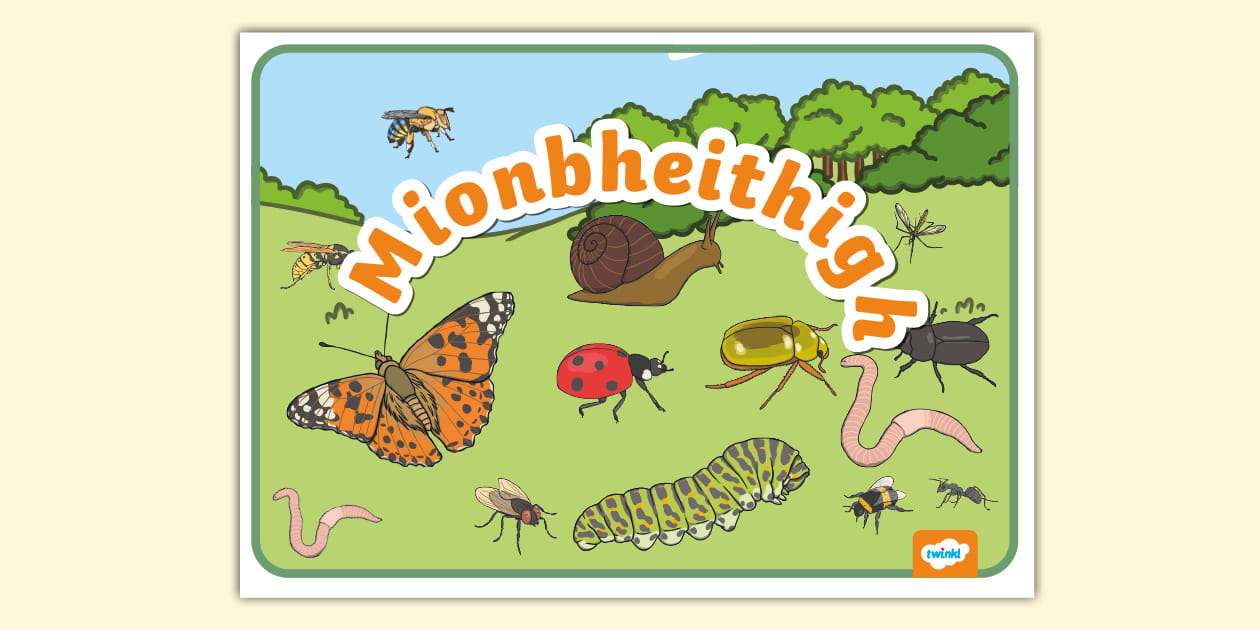 Mionbheithigh
