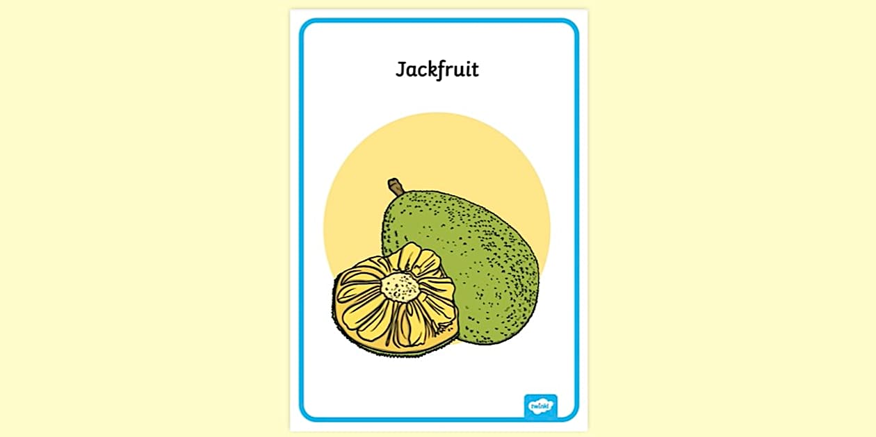 Jackfruit Poster Display | Primary Resources (teacher made)