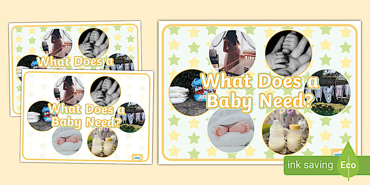 What Does a Baby Need? Photo Display Poster (teacher made)