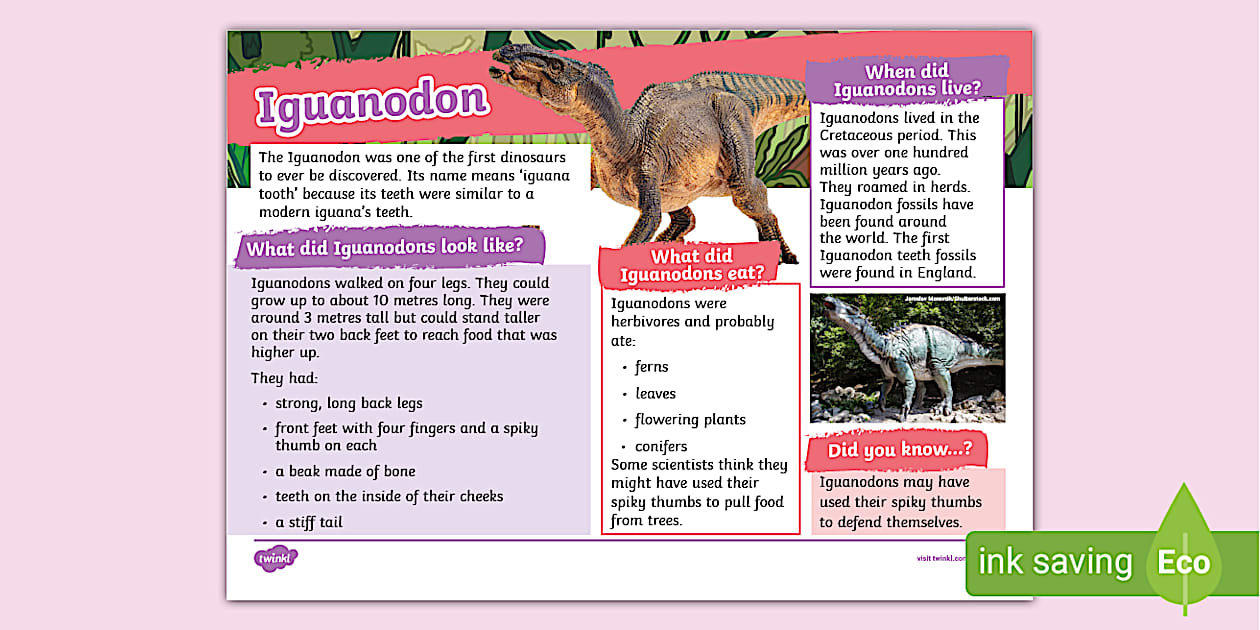 Iguanodon Fact File (teacher made) - Twinkl