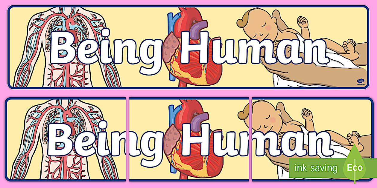 Being Human Display Banner (Teacher-Made) - Twinkl