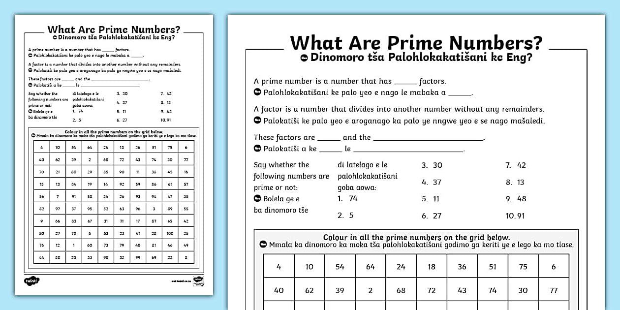 What Are Prime Numbers? Activity Sheet Sepedi (teacher made)