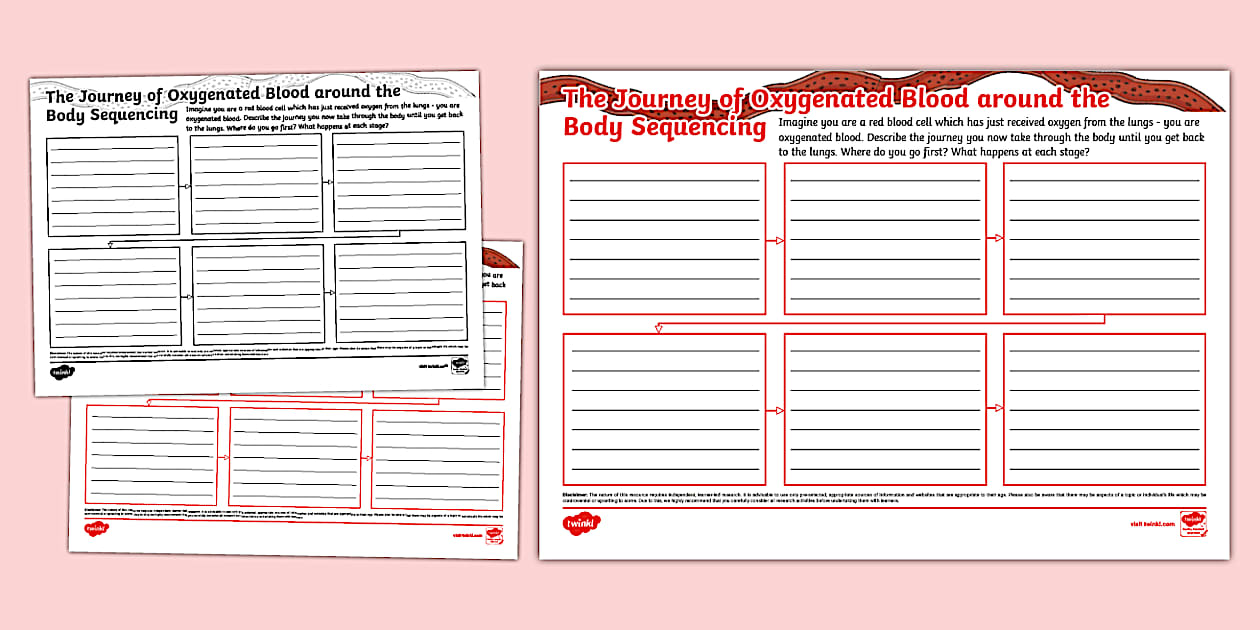 The Journey of Oxygenated Blood around the Body Sequencing Mind Map