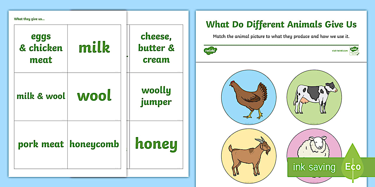 Different Animals Matching Activity - Primary Resources