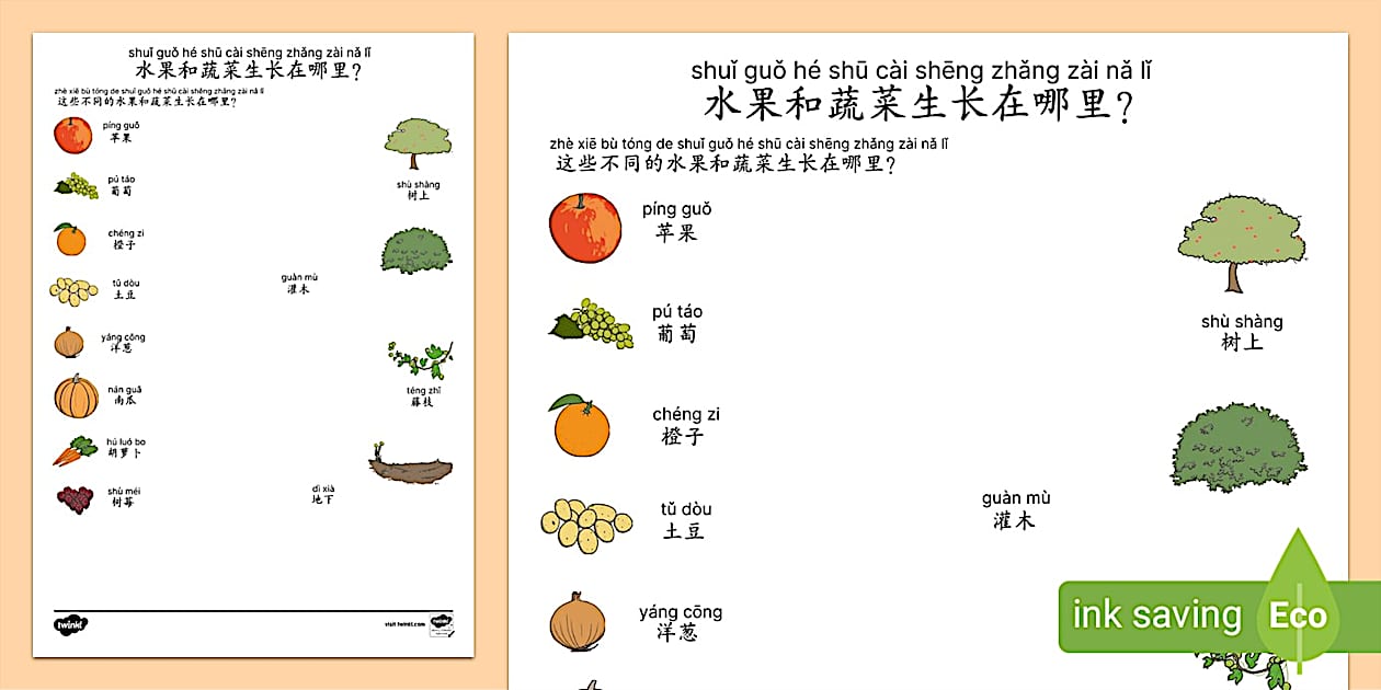 *Singapore Where Do Fruits and Vegetables Grow? Worksheet*