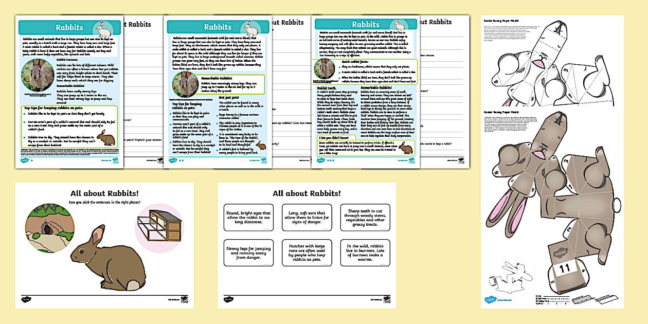 Rabbit Resource Pack (teacher made) - Twinkl