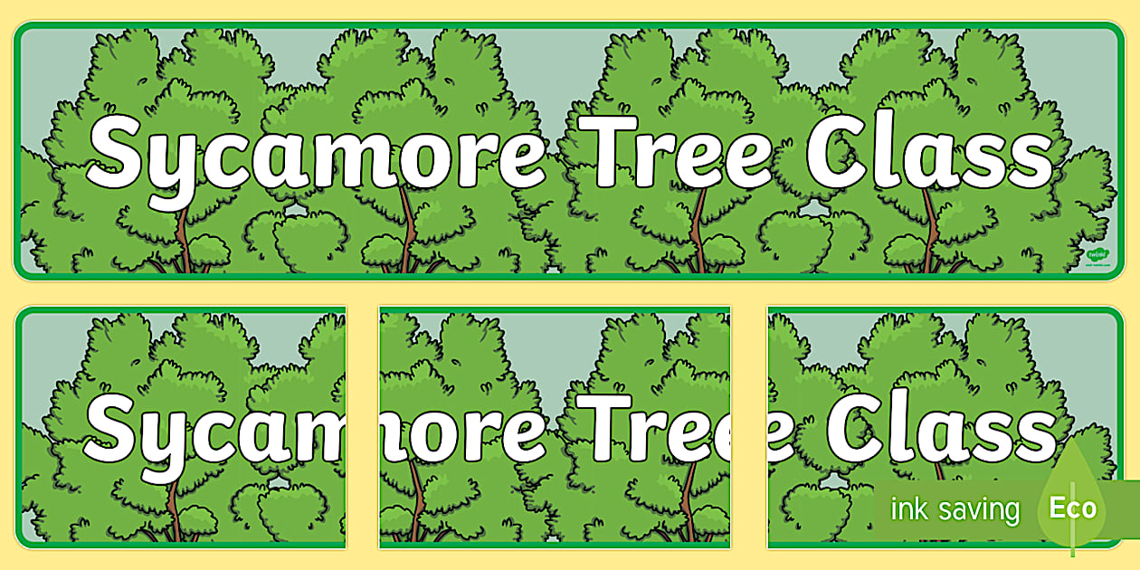 Sycamore Themed Classroom Display Banner (teacher made)