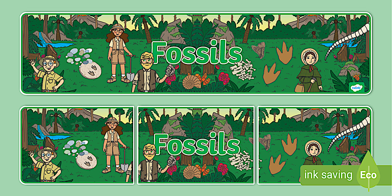 Fossils Display Banner (teacher made) - Twinkl