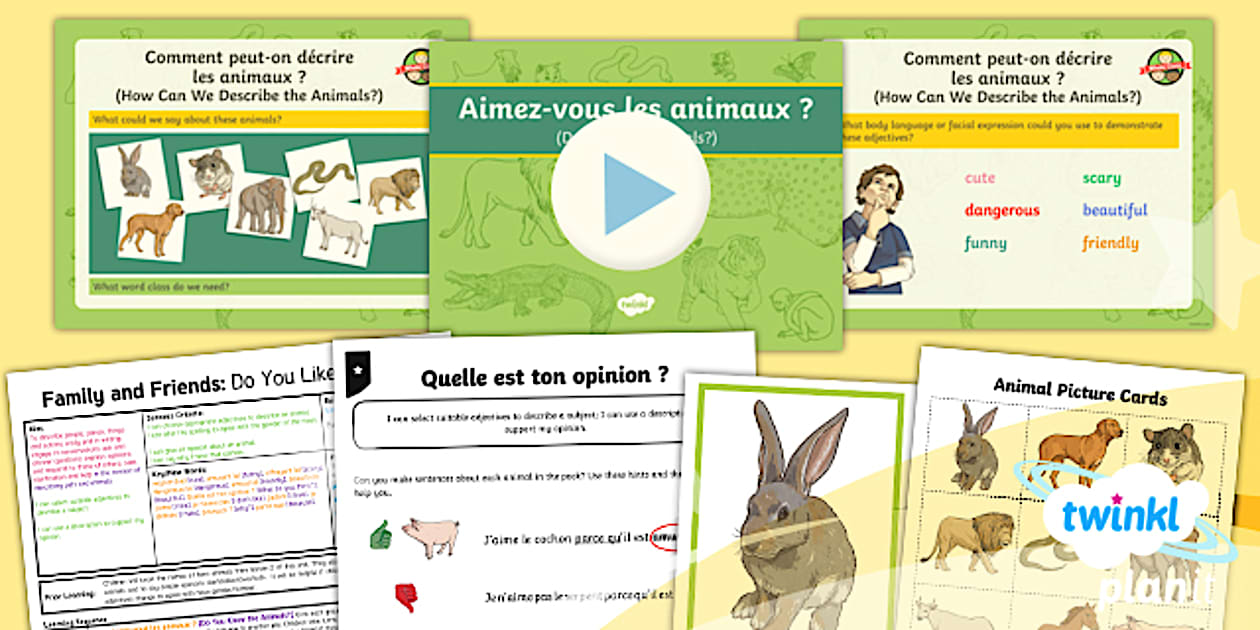 French: Family and Friends: Do You Like Animals? Year 5 Lesson Pack 5