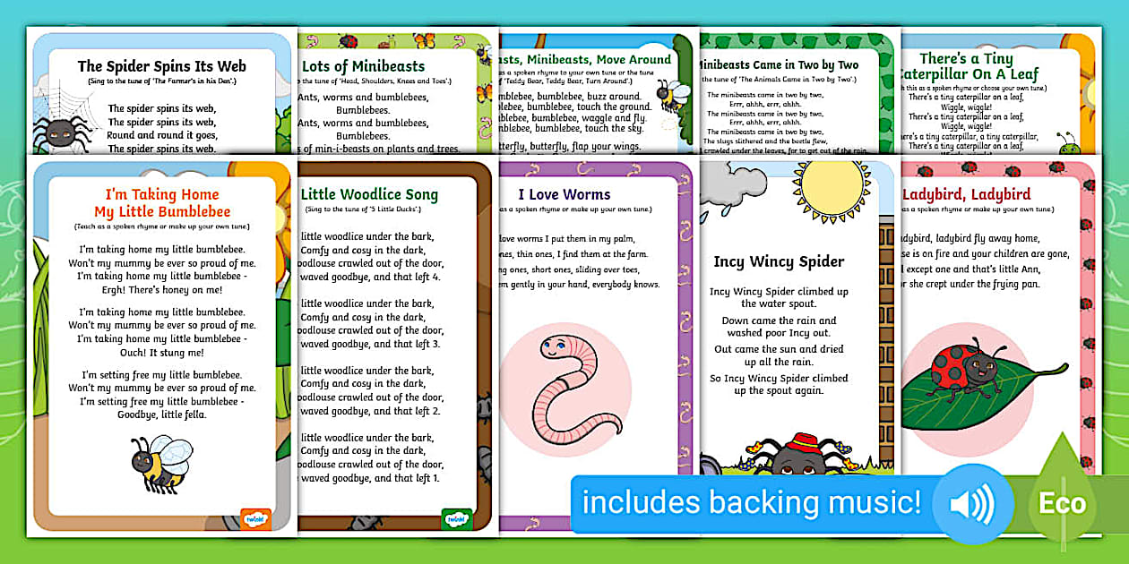 Minibeast Songs and Rhymes Resource Pack (teacher made)