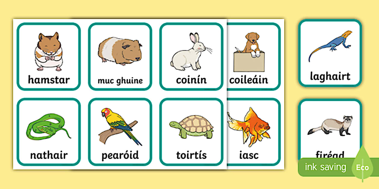 Editable Mo Pheata Matching Cards Gaeilge (teacher made)