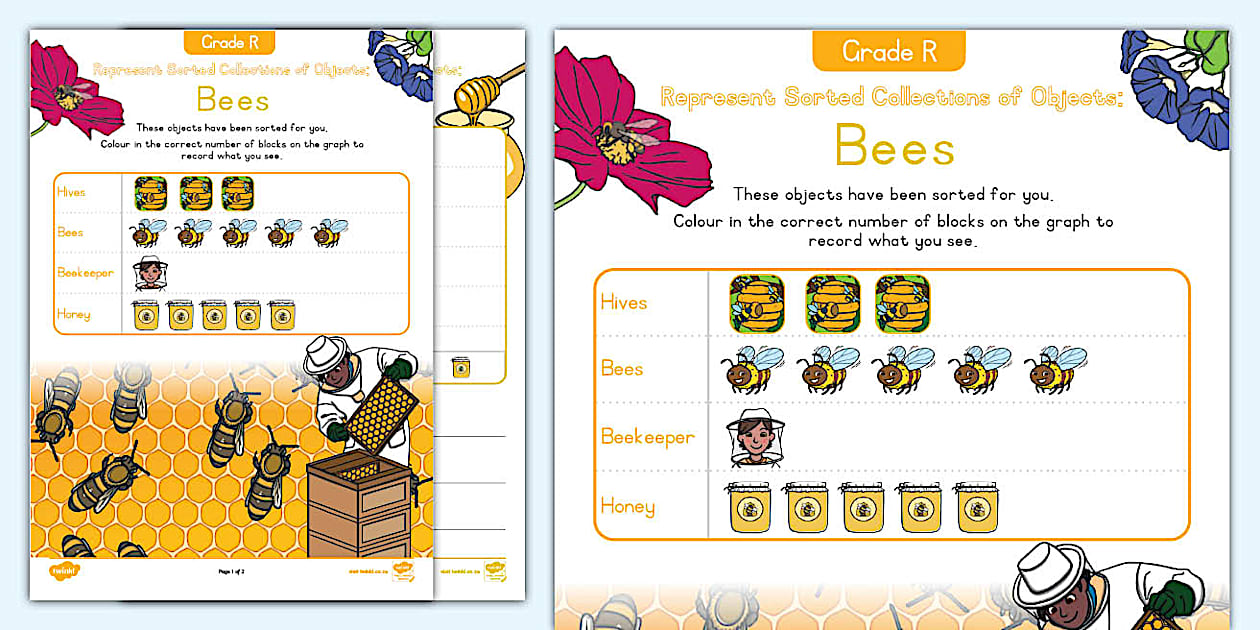 Grade R Data Handling - Represent Sorted Collections - Bees