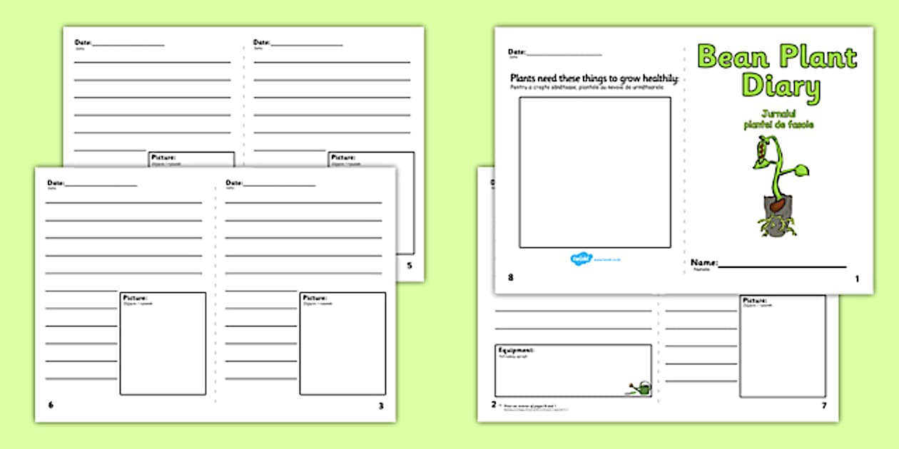 Bean Plant Diary Writing Frame Romanian Translation - Twinkl