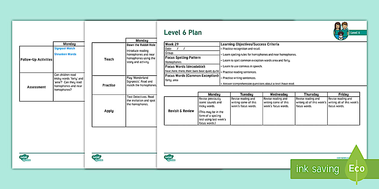 Homophones Lesson Plan - Level 6 Week 29 (teacher made)