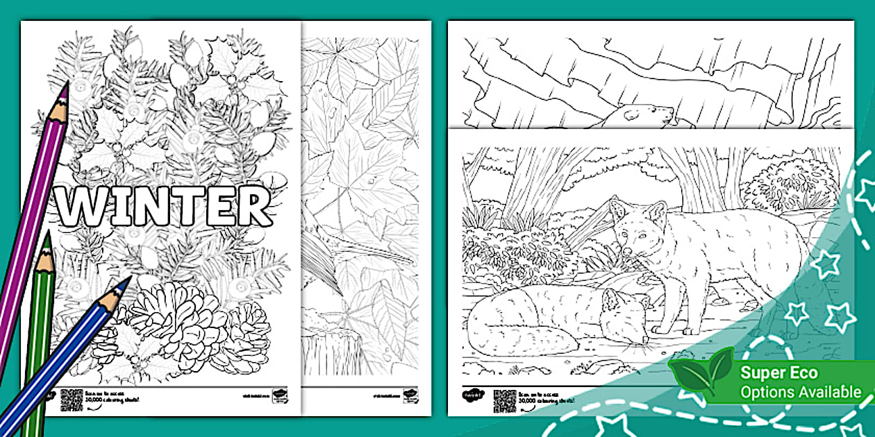 Winter Mindfulness Colouring Pages (teacher made) - Twinkl
