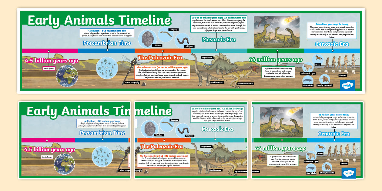 Early Animals Timeline (teacher made) - Twinkl