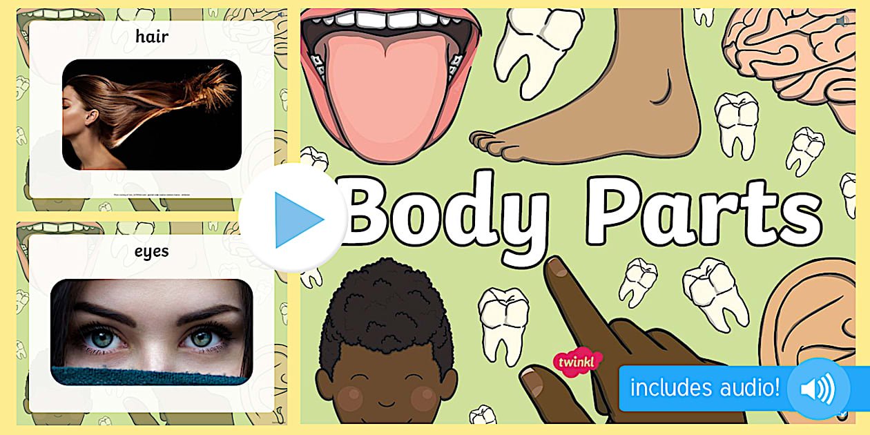 Teacher-Made Parts of the Body Audio Flashcards - Twinkl