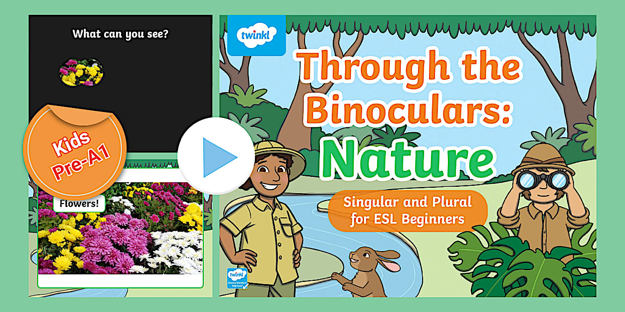 ESL PowerPoint Game: Singular and Plurals [Kids, Pre-A1]