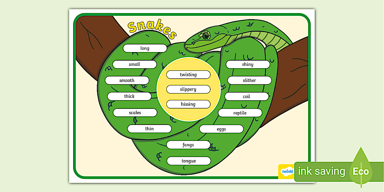 Snake Word Mat - Twinkl - KS1 (teacher made) - Twinkl
