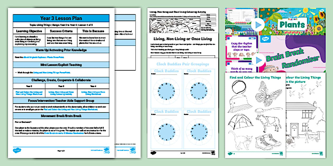 Year 3 Inclusion Living Things Differentiated Lesson Plan 1