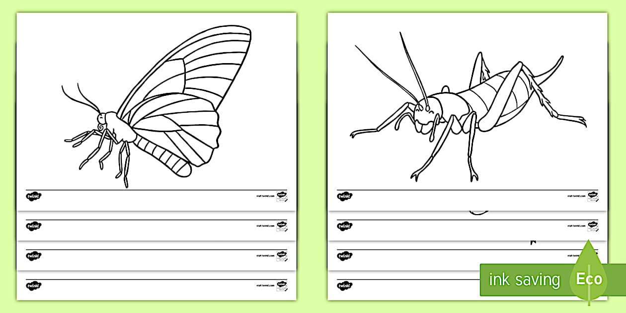 Bugs Template | Insect Colouring Sheets (teacher made)